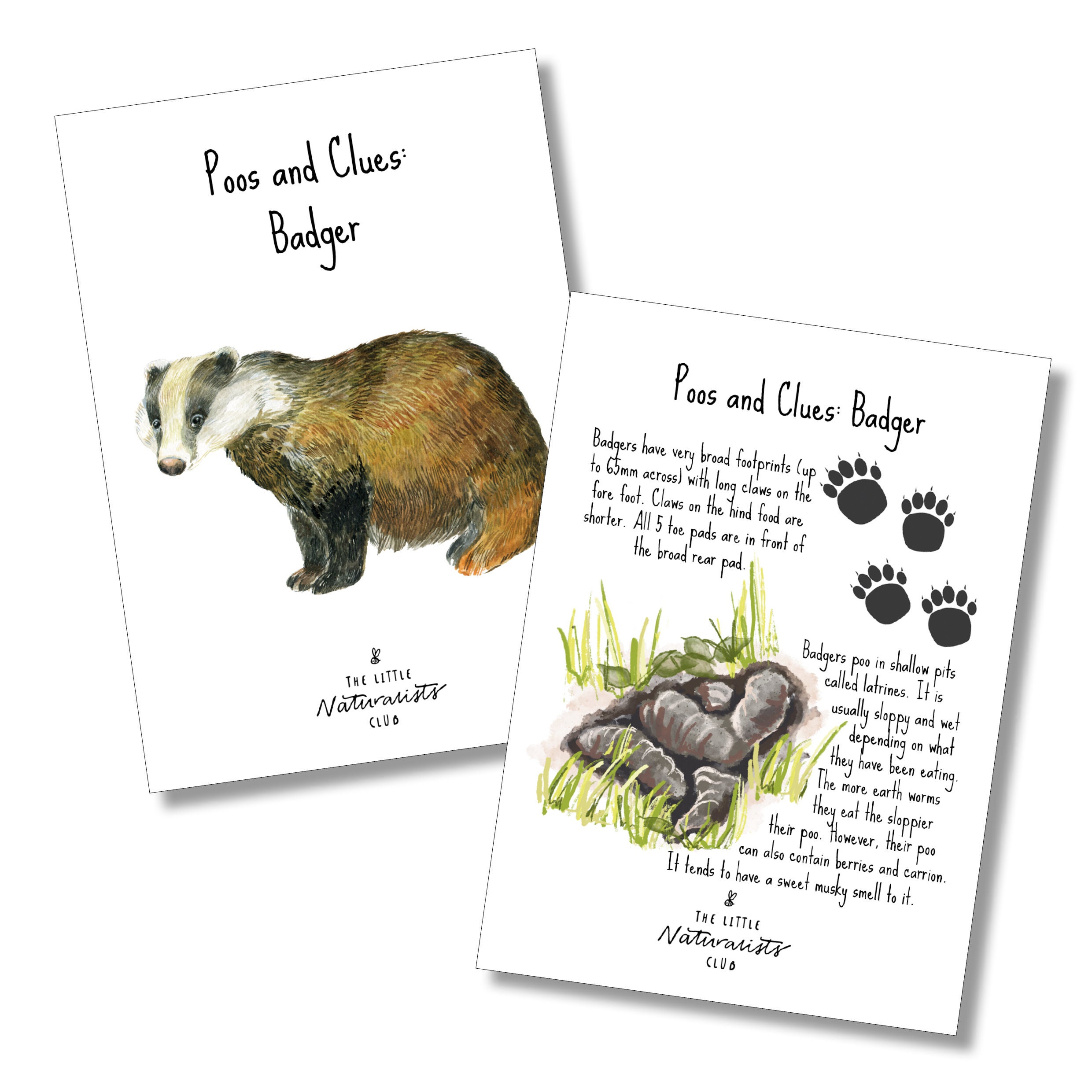 Animal Track Identification Cards