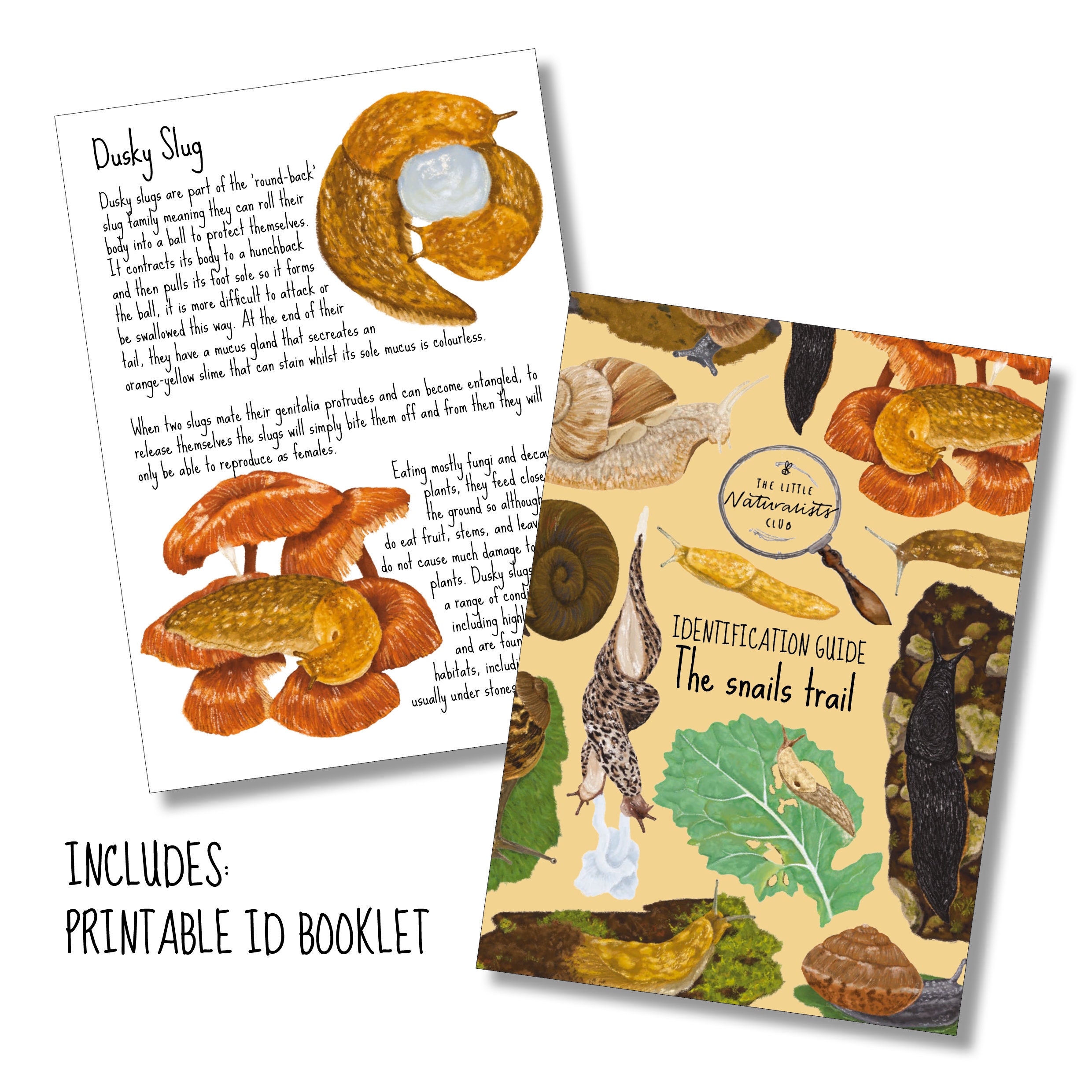 Complete Slugs and Snail Study Unit Summer Learning Pack - Etsy