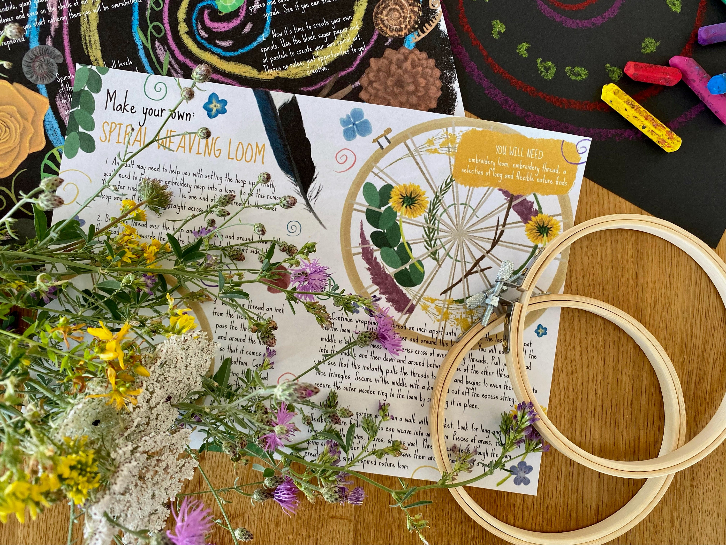 Complete Slugs and Snail Study Unit, Summer Learning Pack, Homeschool ...