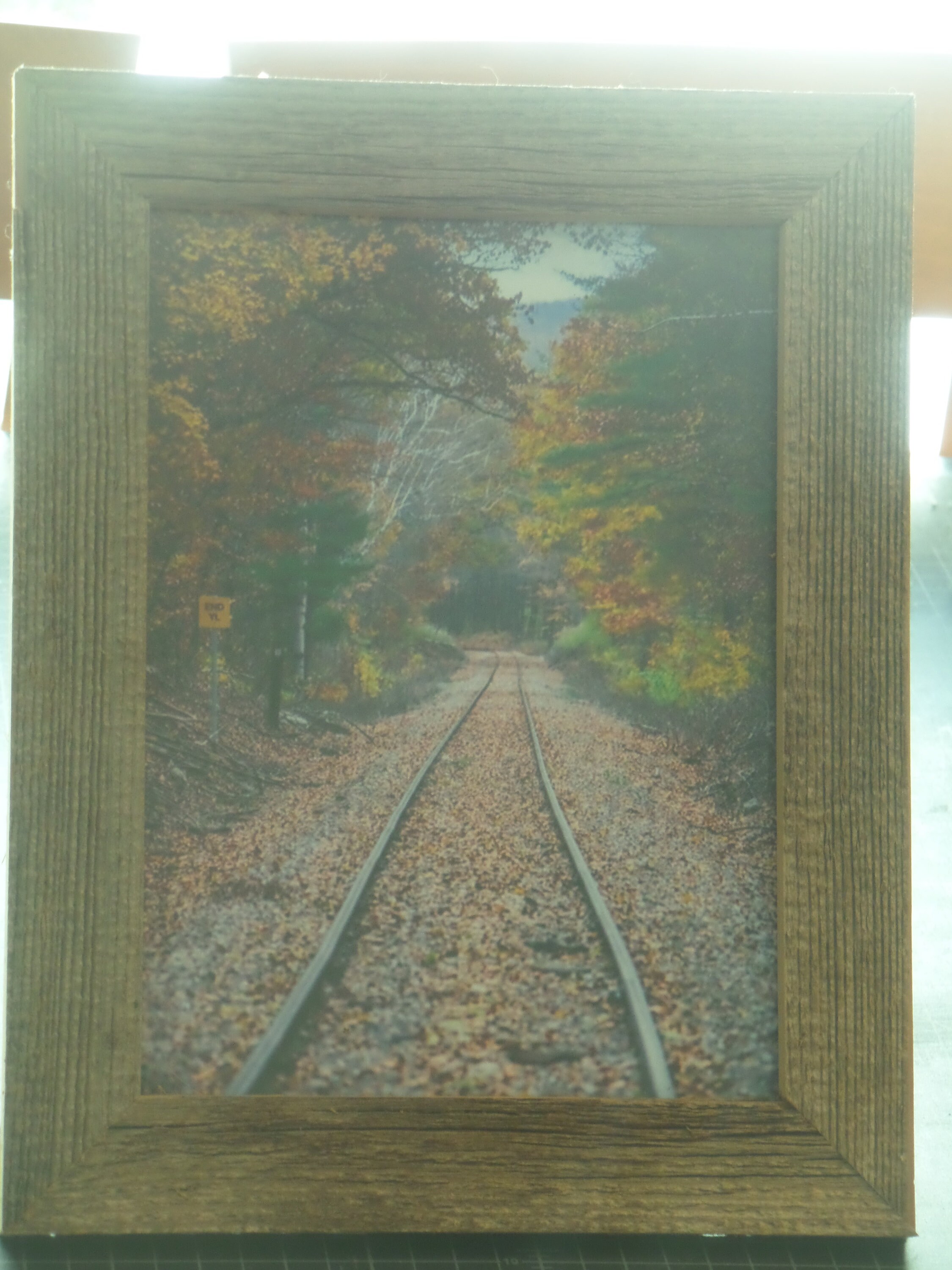 Train Tracks Thru the Woods - Etsy