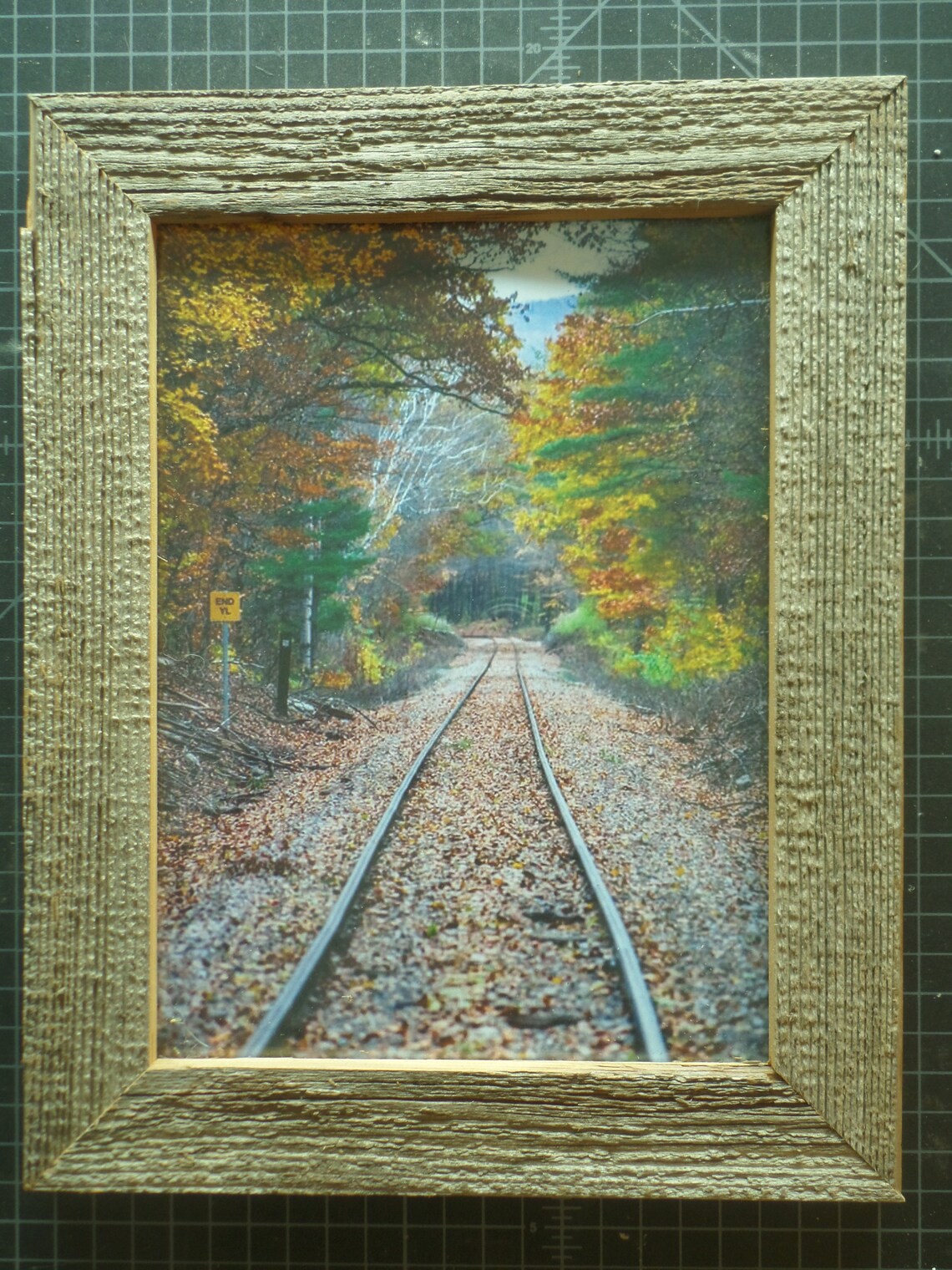 Train Tracks Thru the Woods - Etsy