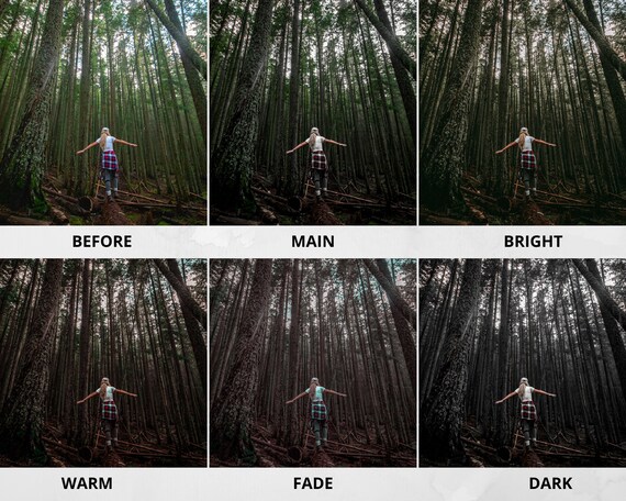 Visual Arts Craft Supplies & Tools 20 Forest Lightroom Mobile Presets ...