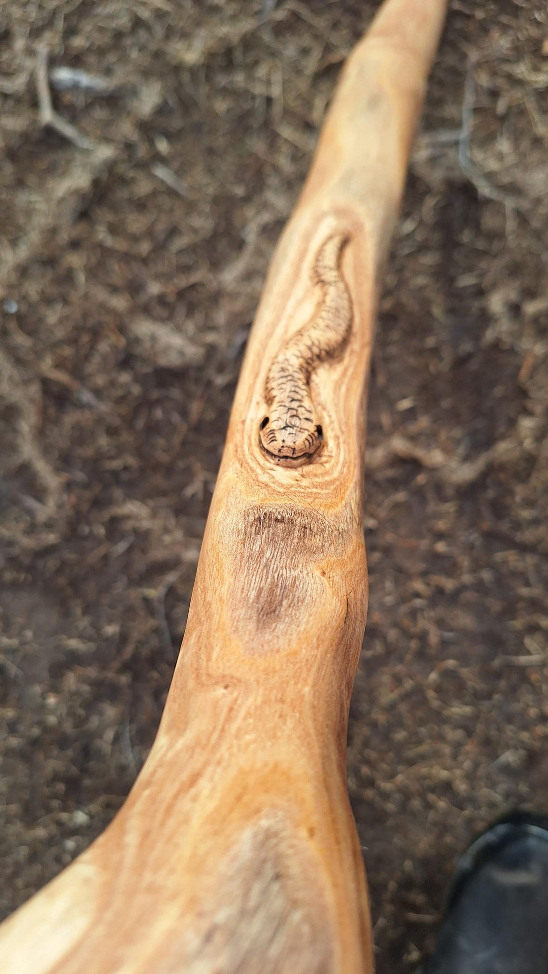 Serpent’s Path Catalpa Cane With Short Simple Snake Carving - Etsy