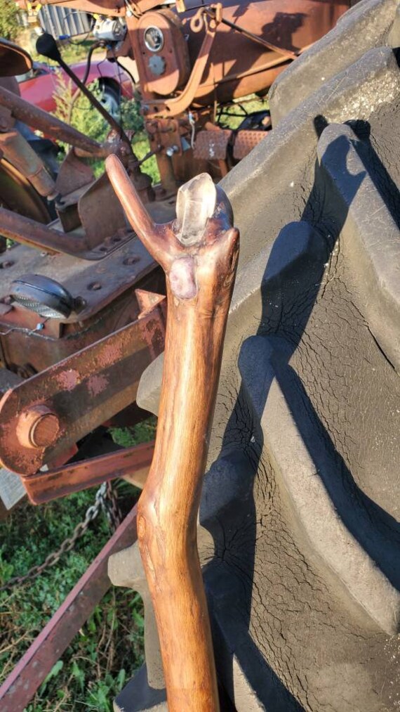Wizard Staff Black Walnut Knowing King's Magick Staff - Etsy