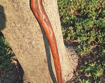Curved but Robust Osage Orange Cane With Perfect Handle - Etsy