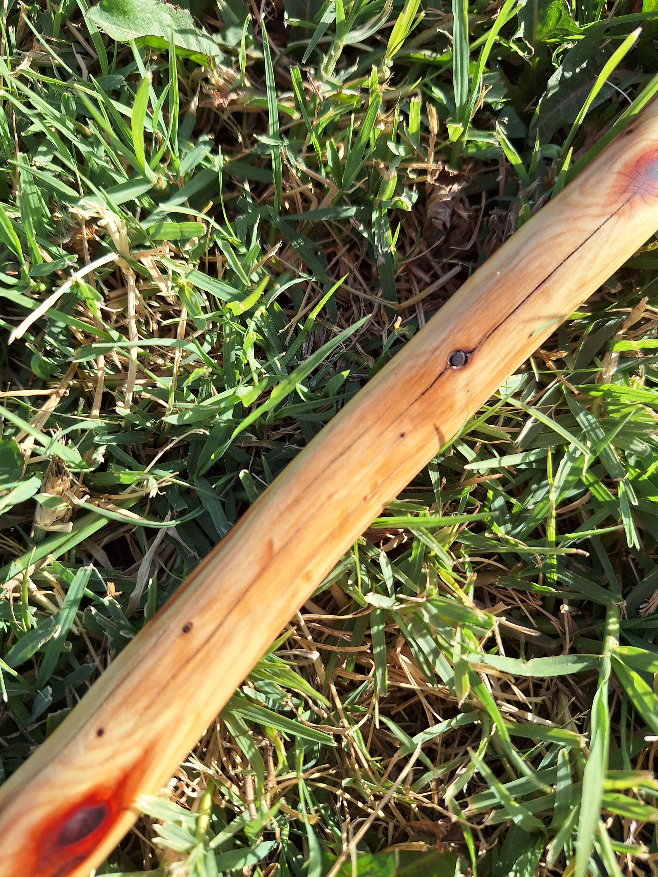 Eastern Red Cedar Magick Wand With Clear Quartz Point and Chips. - Etsy