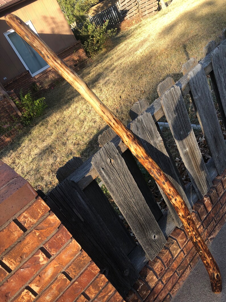 Flame Hardened, Fire Hardened Eastern Red Cedar, Juniperus Virginiana ...