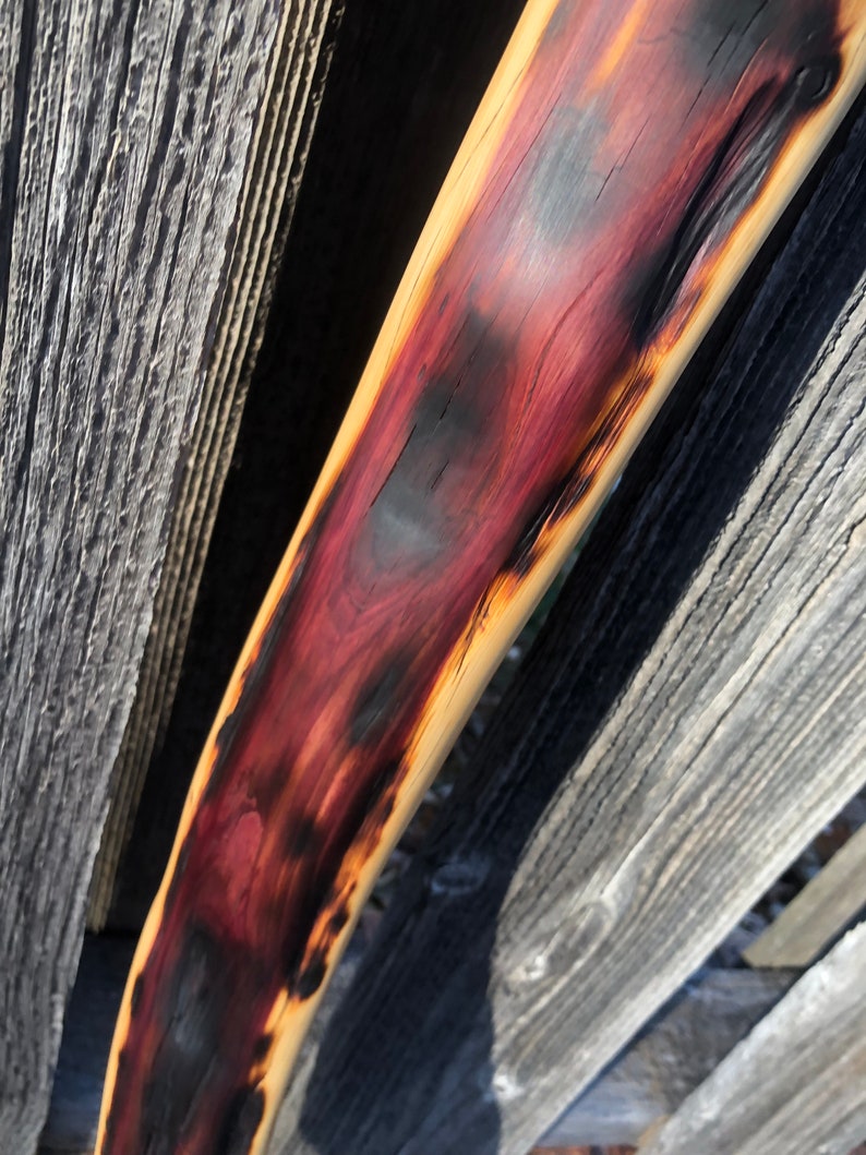 Flame Hardened Fire Hardened Eastern Red Cedar Juniperus - Etsy
