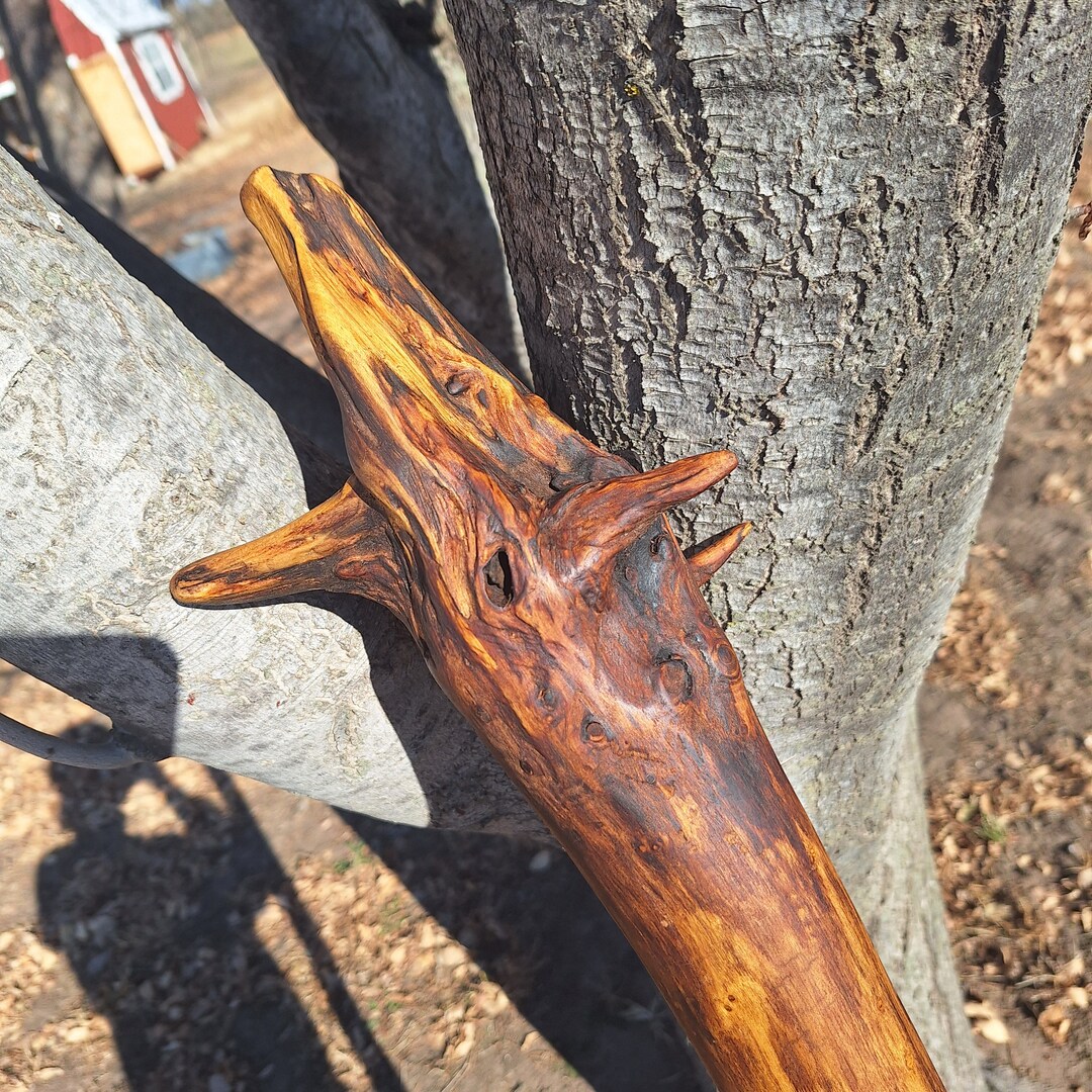 Handcrafted Mullberry Wizard Staff, Magick Staff With Root Ball - Etsy