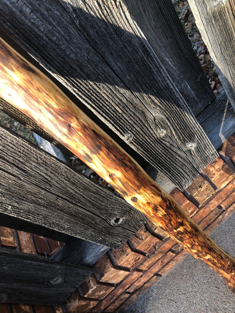 Flame Hardened Fire Hardened Eastern Red Cedar Juniperus - Etsy