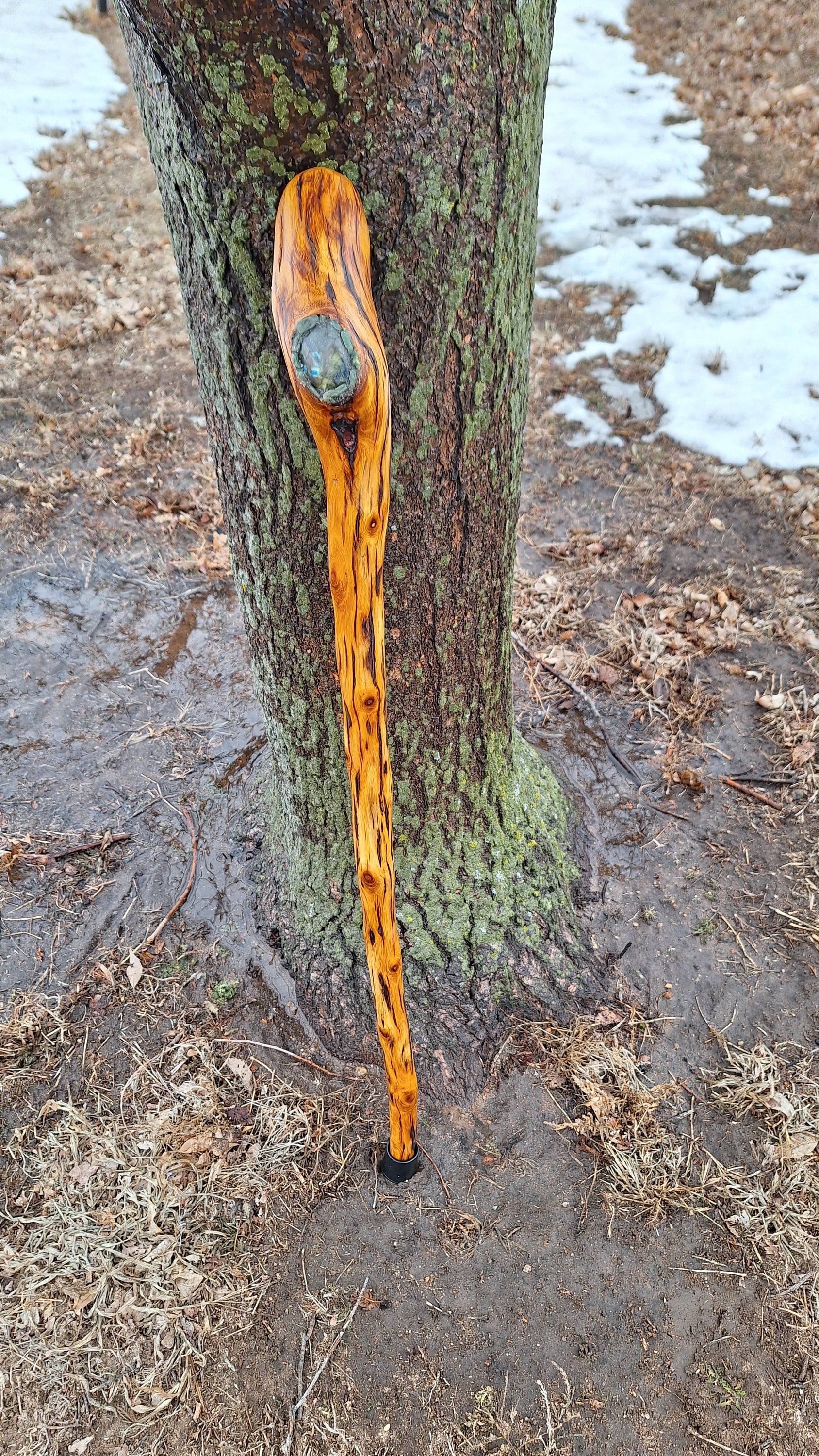 Custom Made to Order Magick Cane, Cane, Spellcasting, Witches Cane ...