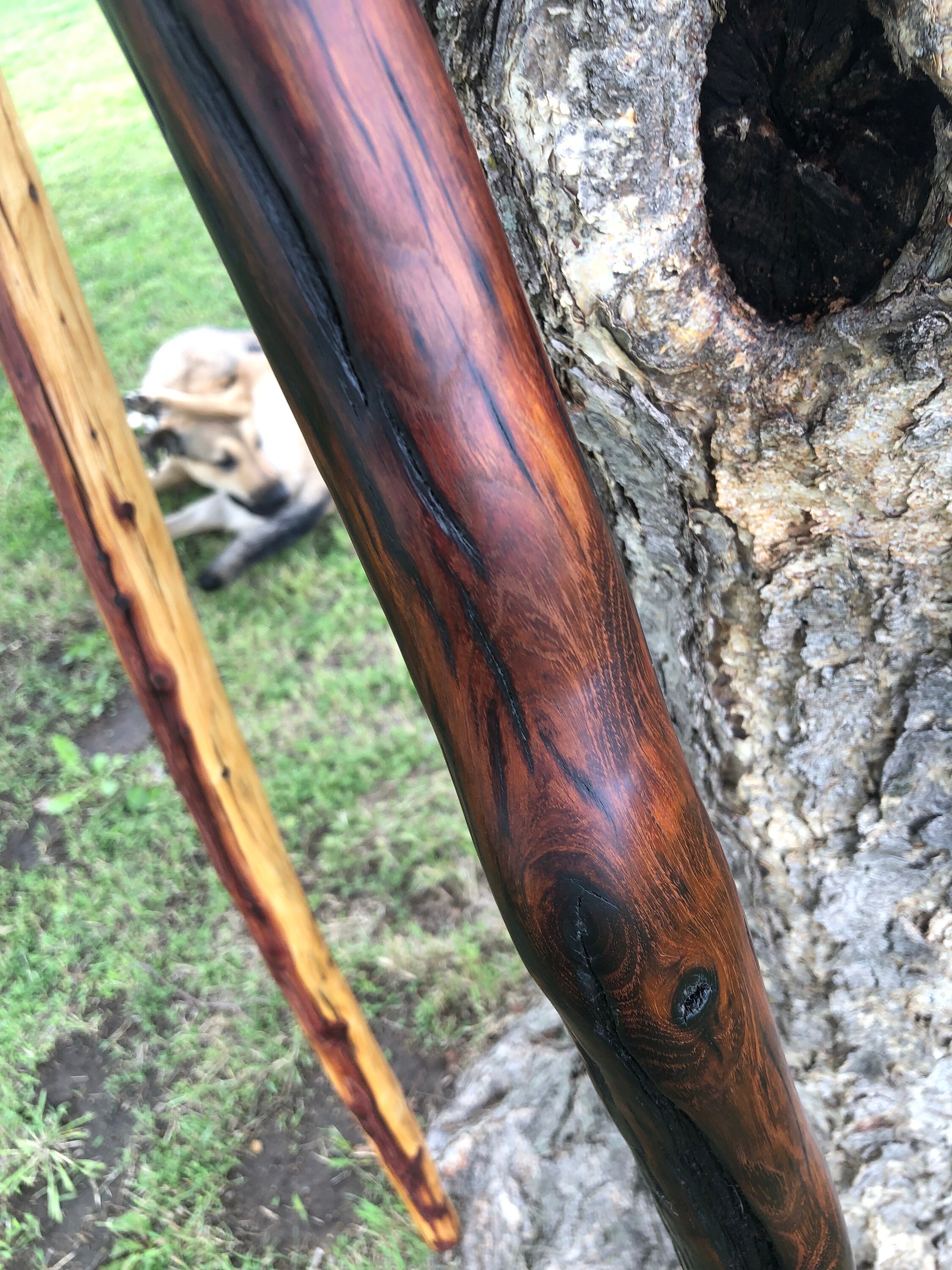 Staff of Enduring Protection Osage Orange Wizard Staff With Smoky ...