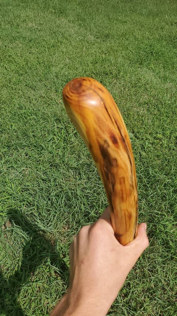 Slender Curved Osage Orange/hedge Cane - Etsy