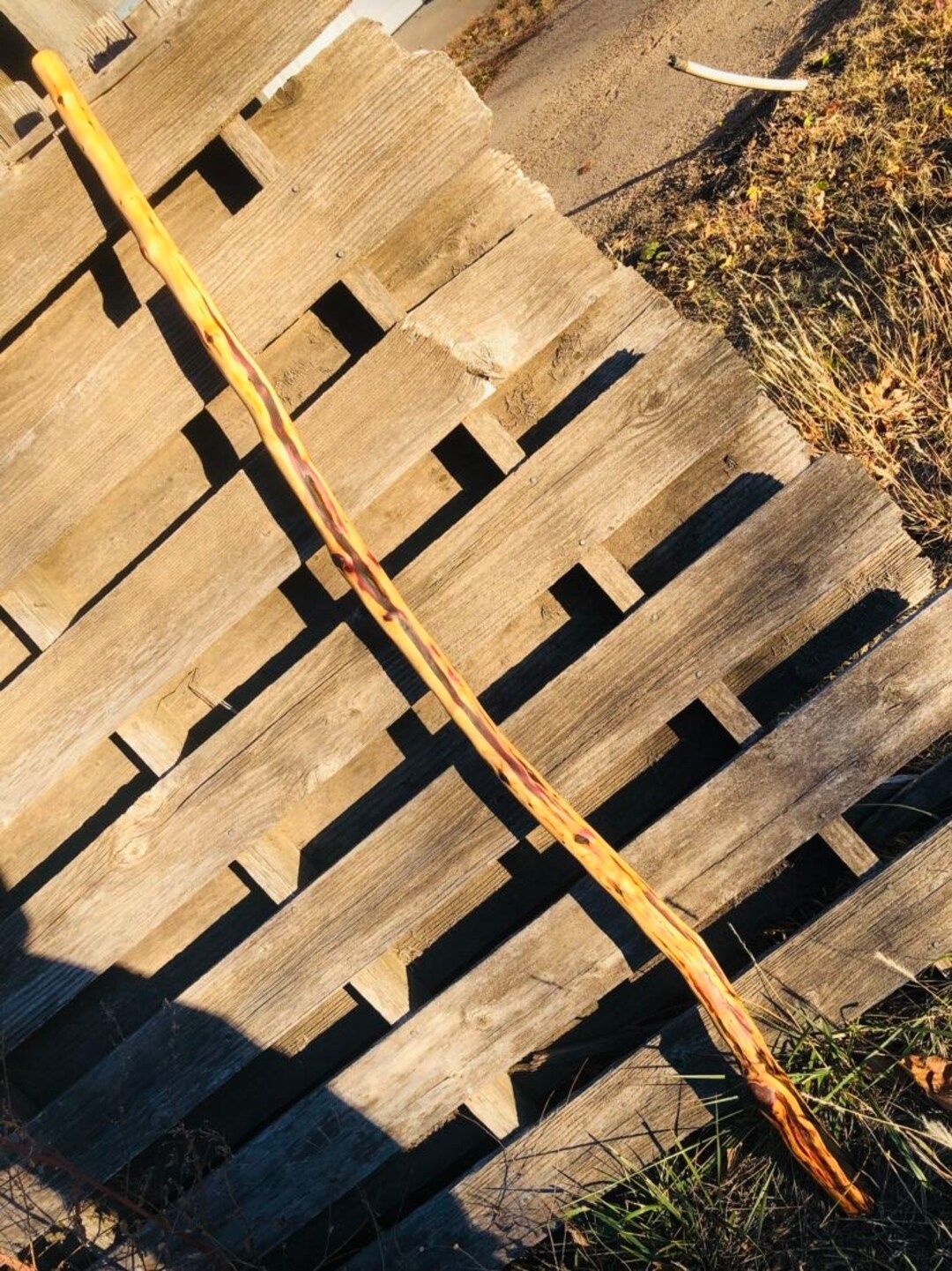 Flame Hardened Fire Hardened Eastern Red Cedar Juniperus - Etsy