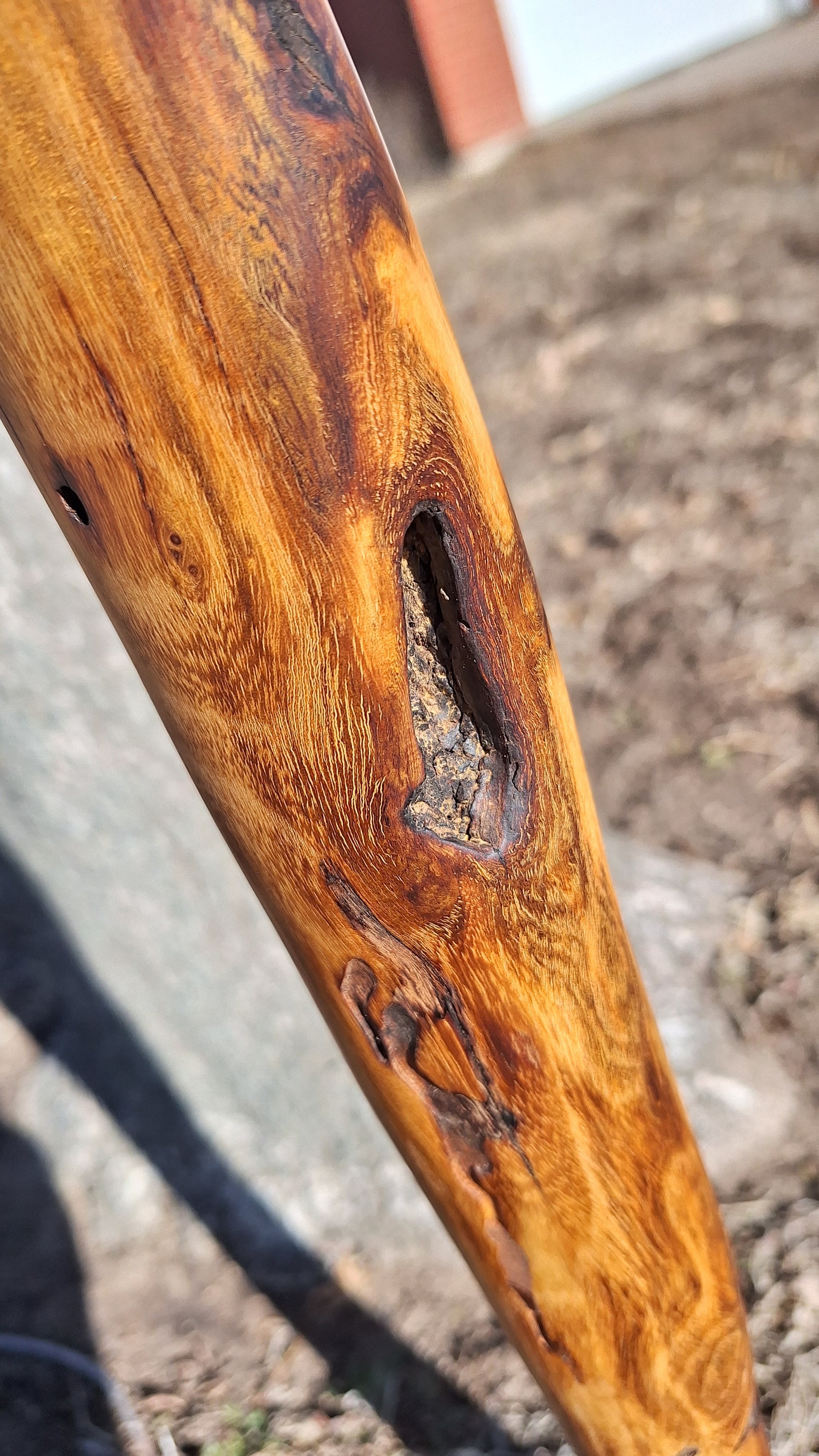 Heavy Long and Straight Osage Orange Walking Stick Wizard Staff - Etsy