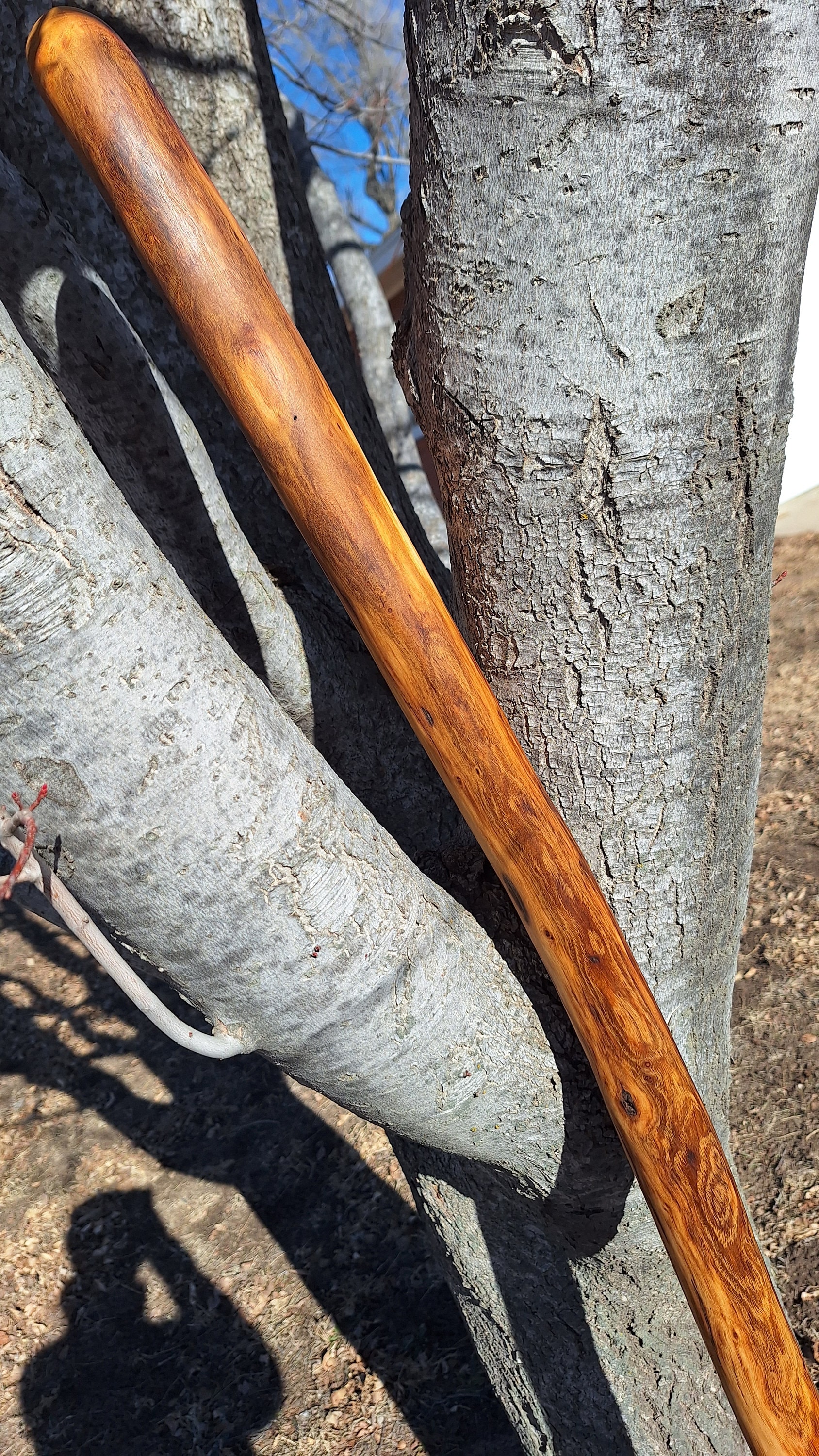 Heavy Long and Straight Osage Orange Walking Stick Wizard Staff - Etsy