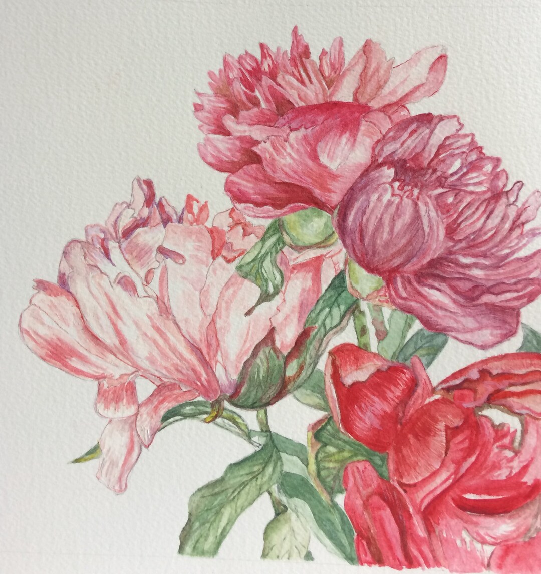Red and Pink Peonies - Etsy