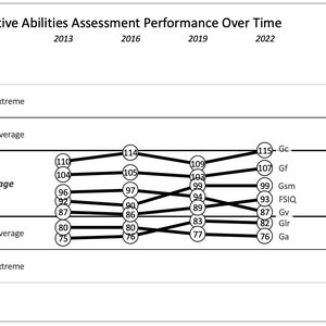 Assessment Growth Over Time Graph excel - Etsy