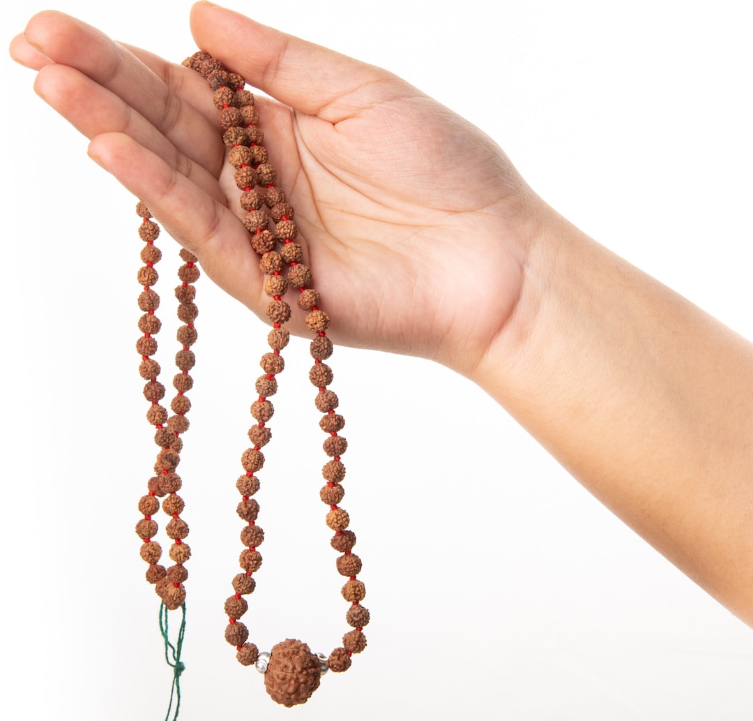 9 Mukhi Rudraksha / Nine Face Rudraksha Nepal 9 Mukhi - Etsy