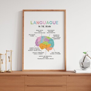 Language in the Brain Poster Slp Poster Slp Wall Art Slp Wall Decor ...