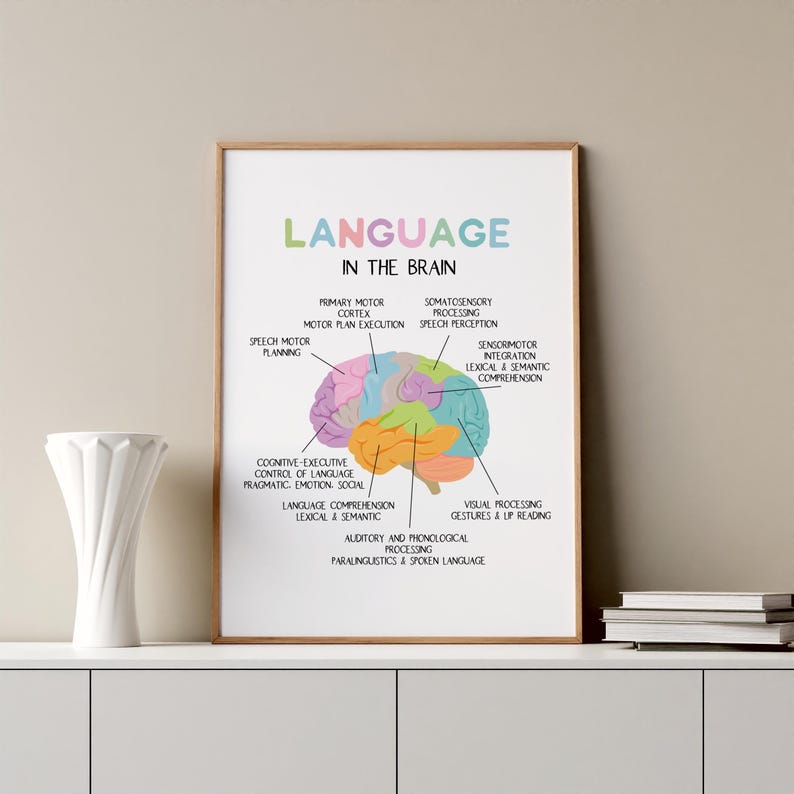 Language in the Brain Poster Slp Poster Slp Wall Art Slp Wall Decor ...
