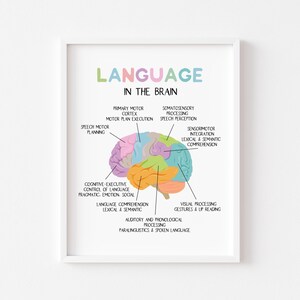 Language in the Brain Poster, Speech Therapy Decor (digital Download ...