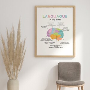 Language in the Brain Poster Slp Poster Slp Wall Art Slp Wall Decor ...