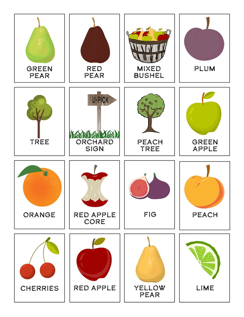 BINGO Game {orchard Theme} - Etsy