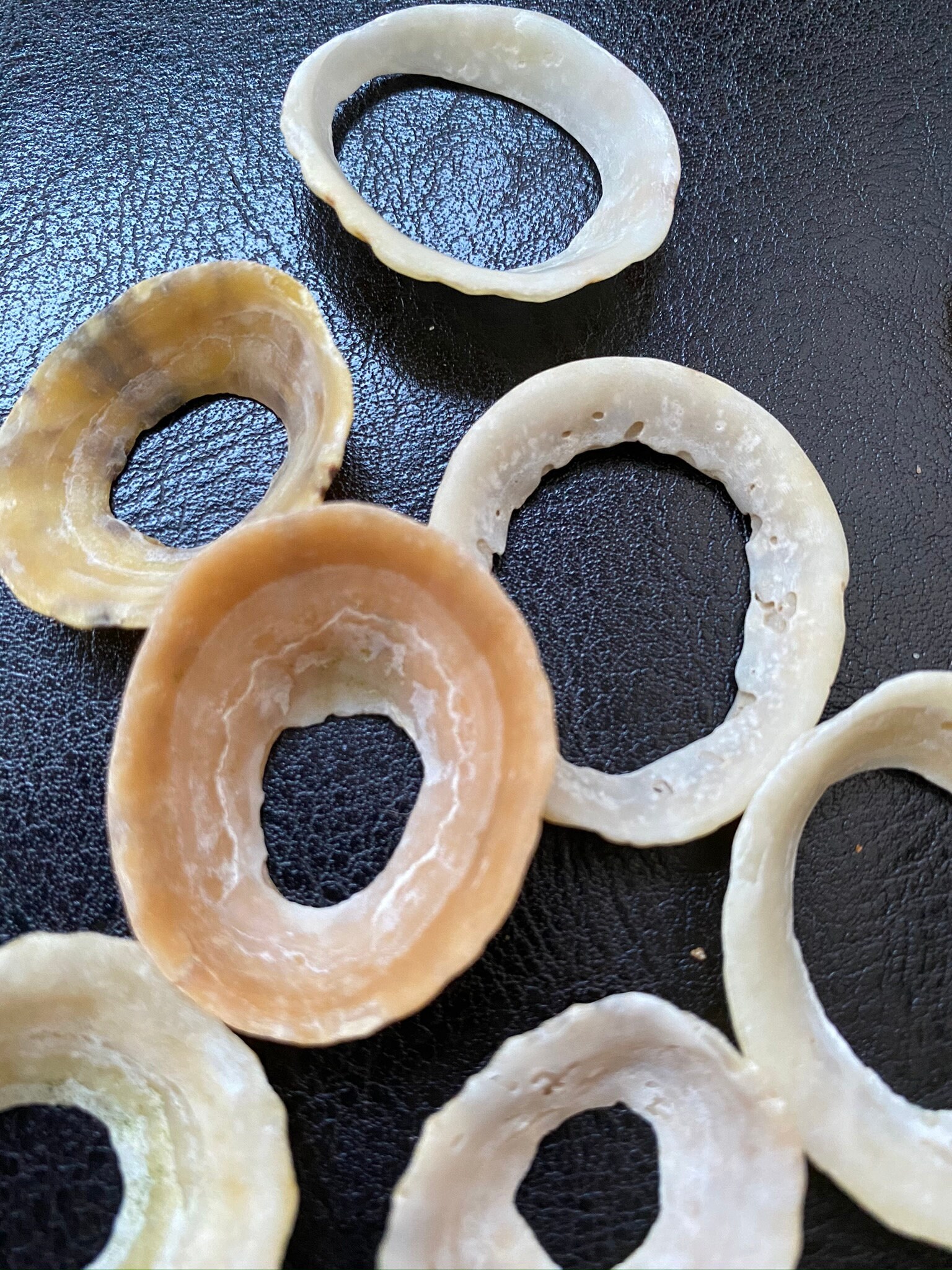 Limpet Shells With Holes - 15 Scottish Shells Natural Holes / Rings ...