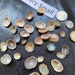 30 Handpicked Real Scottish Limpet Shells Large, Medium & Small Perfect ...