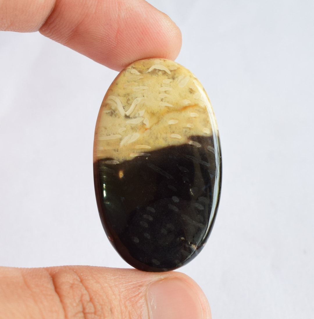 Cabujón natural de la raíz de la palma Cab de la raíz de la - Etsy España