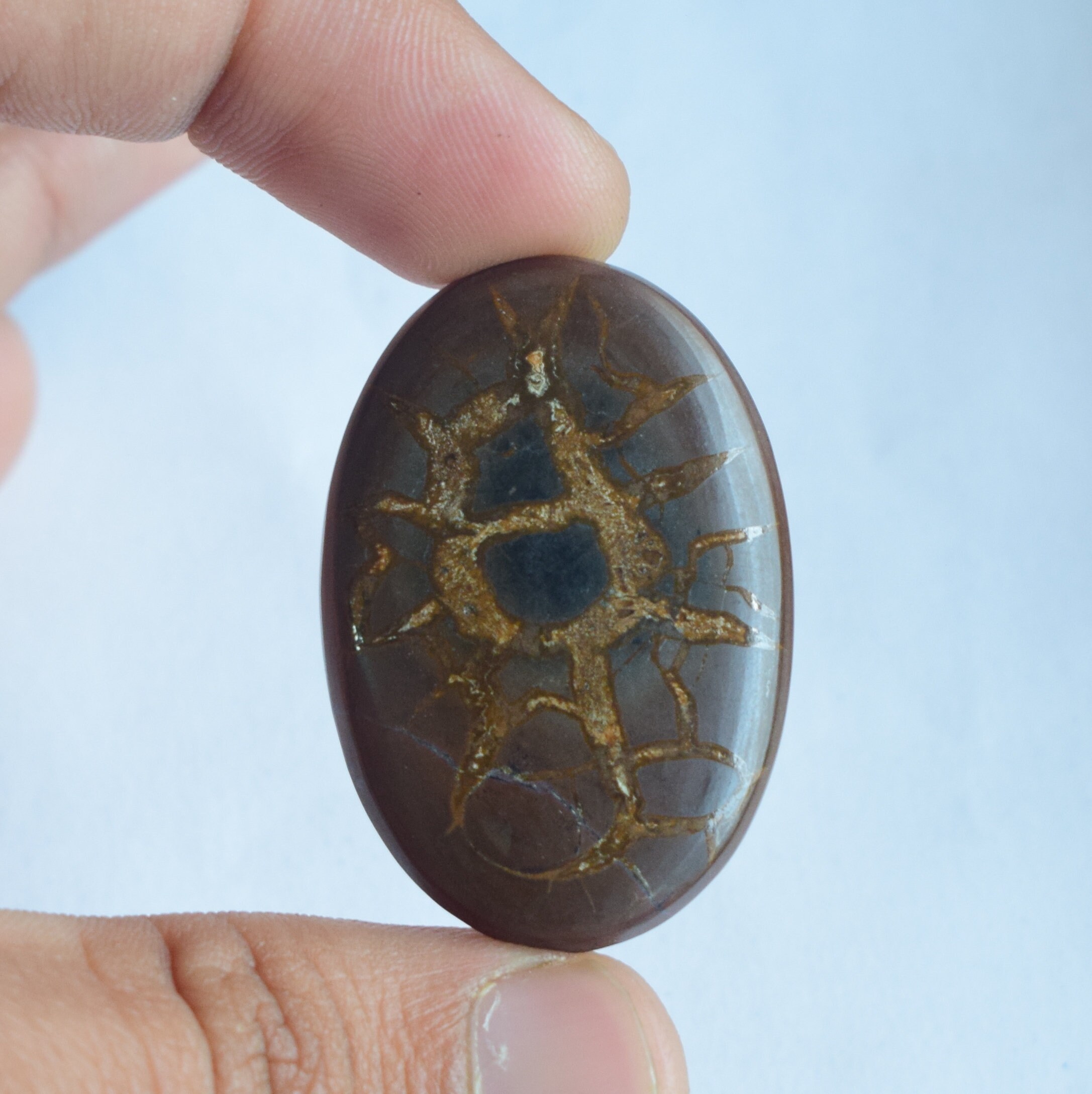 Septarian Cabochon Brown Septarian Oval septarian Septarian | Etsy