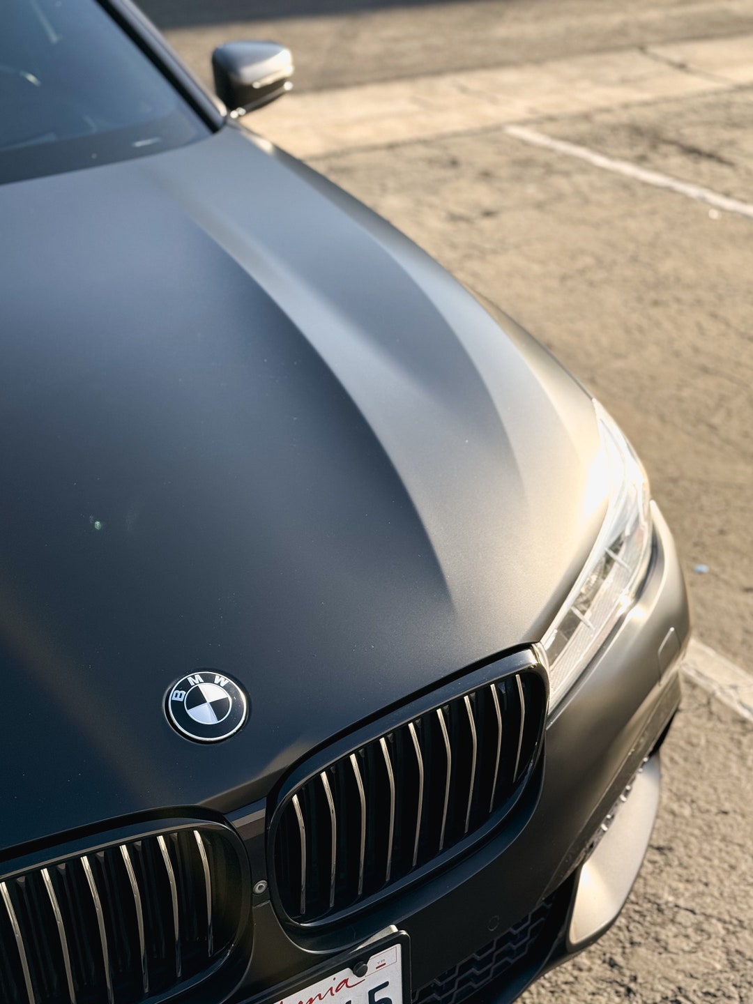 BMW Emblem Vinyl Overlays Colored Decals for Badges Hood and Trunk. Not ...