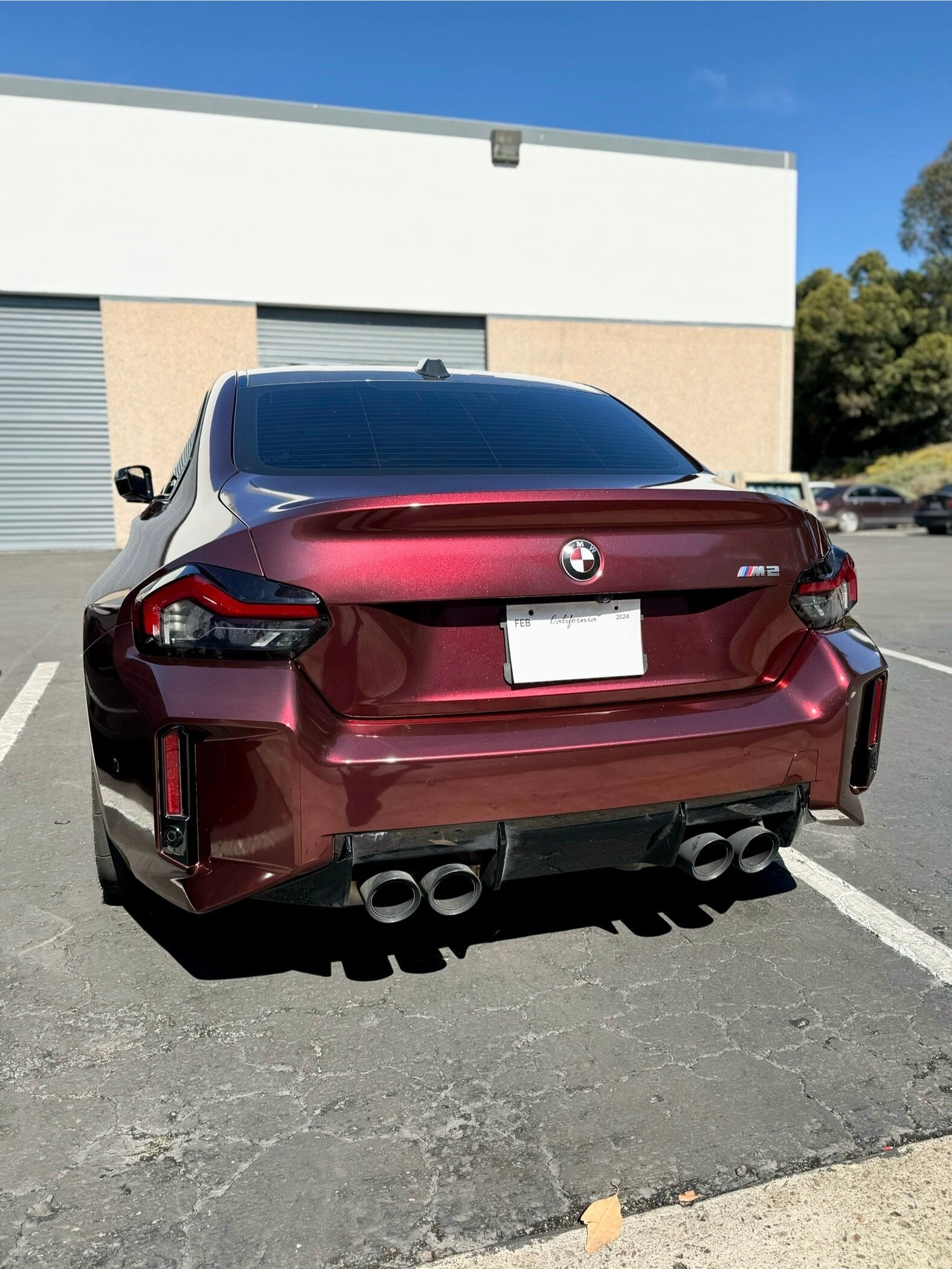 BMW Emblem Vinyl Overlays Colored Decals for Badges Hood and Trunk. Not ...