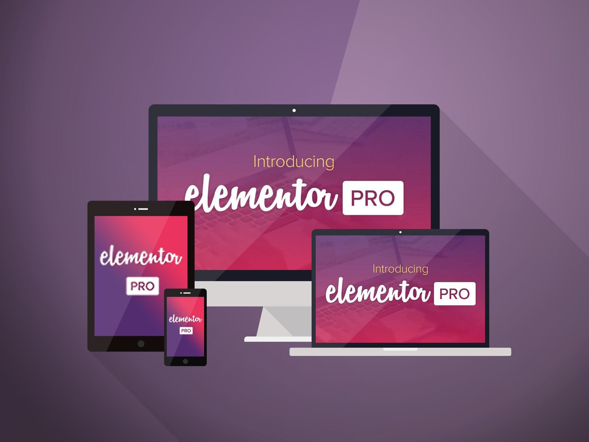 Wordpress Plugin Elementor Pro V3 6 0 Pro V3 5 5 Etsy
