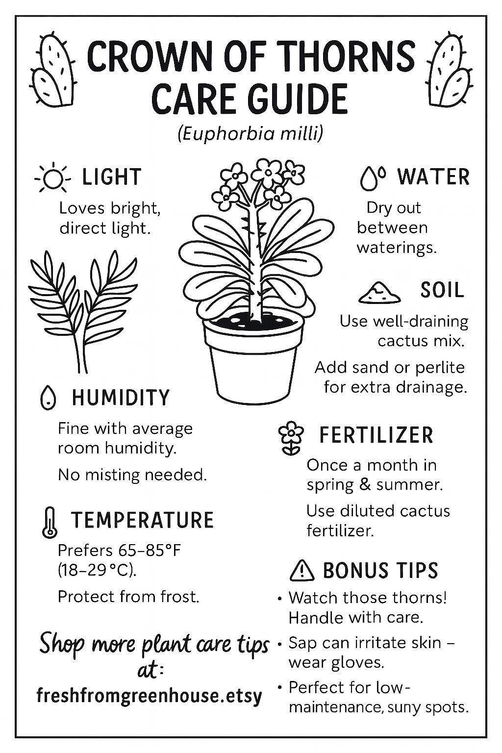 Dwarf Crown of Thorns Plant Bundle – 4 Live Plants in 5” Pots – Red ...