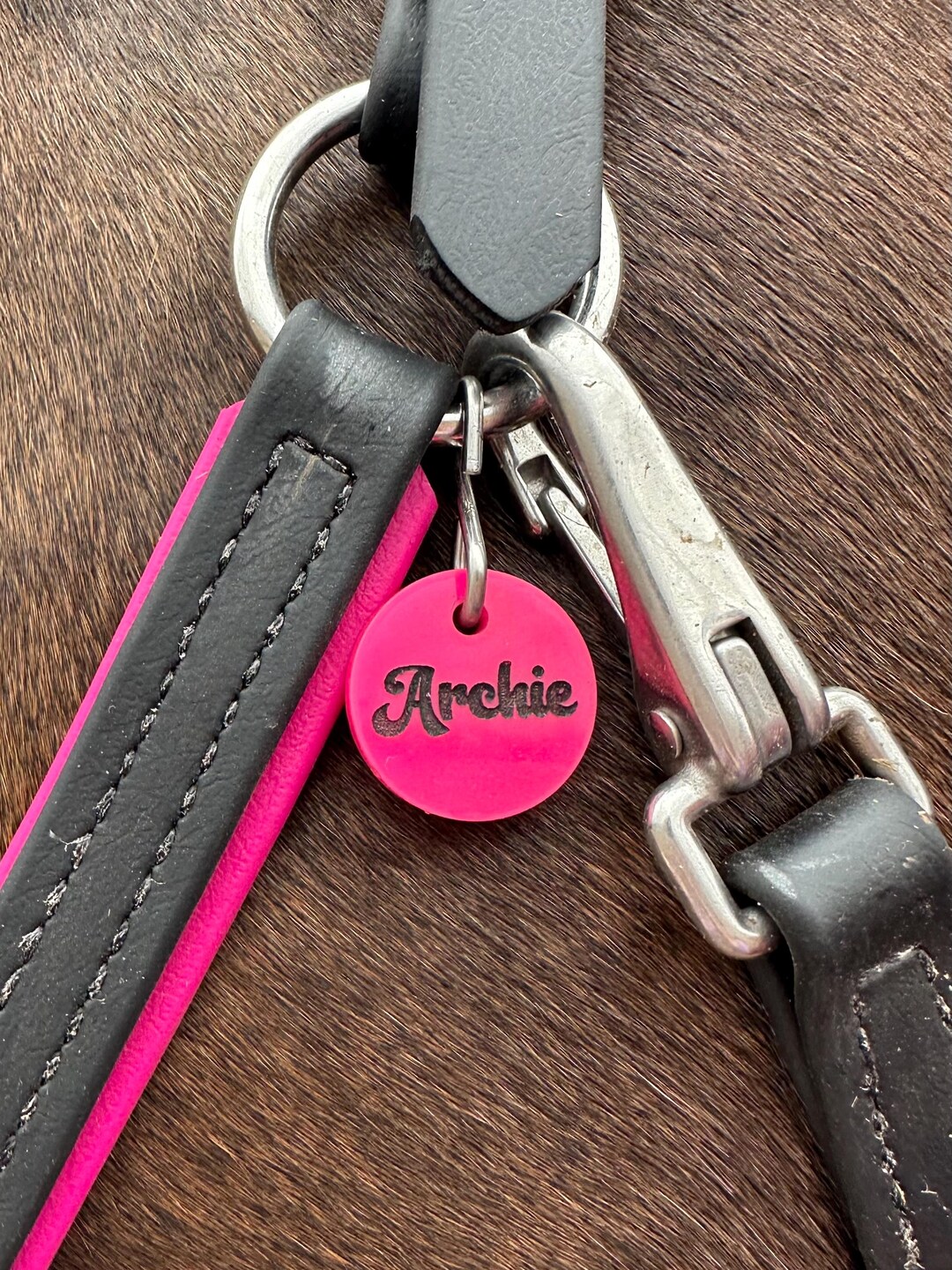 1” Horse Name Halter Tag (set 3) - Etsy