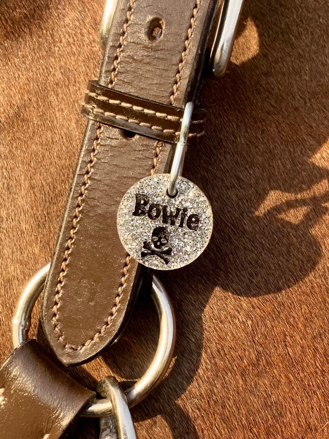 Specialty Horse Bridle Halter Tag Circle Silver Glitter - Etsy