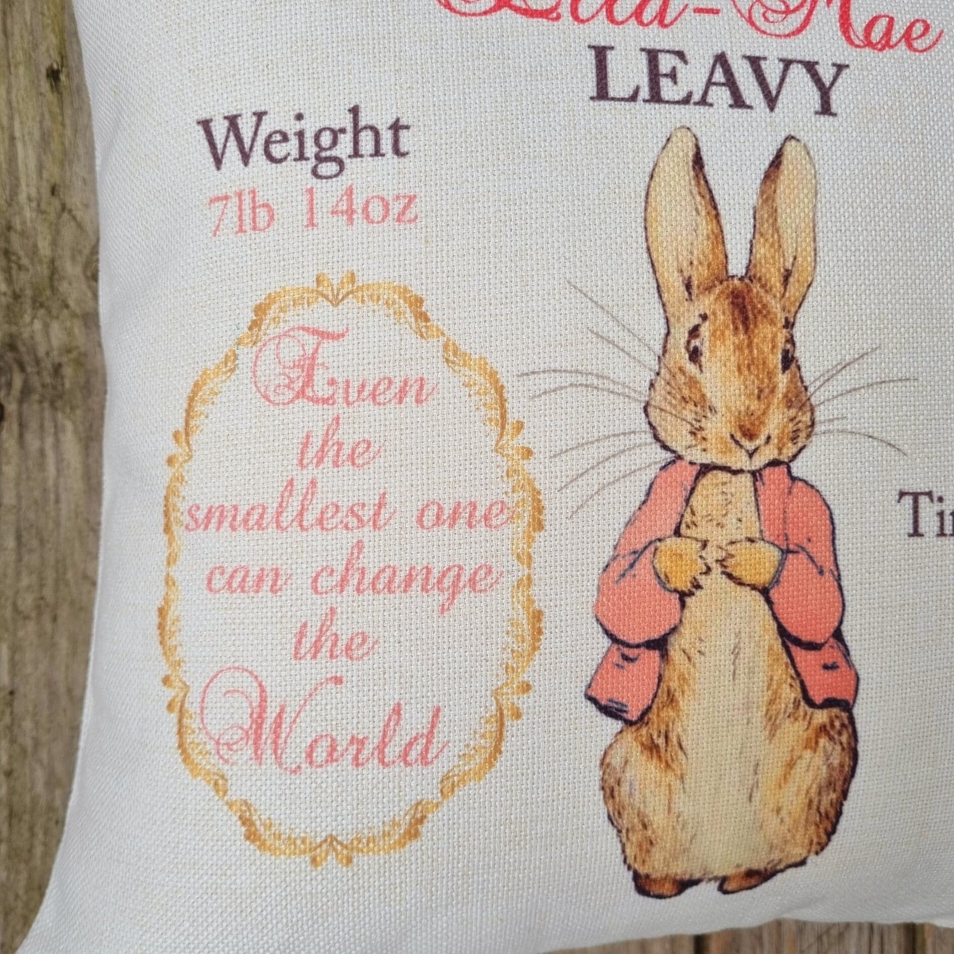 Peter/flopsy Rabbit Personalised Keepsake Gift for | Etsy UK