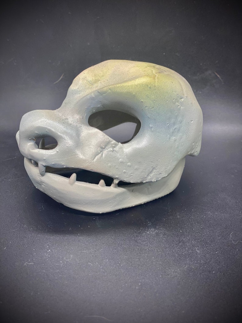 Blastoise Skull - Etsy