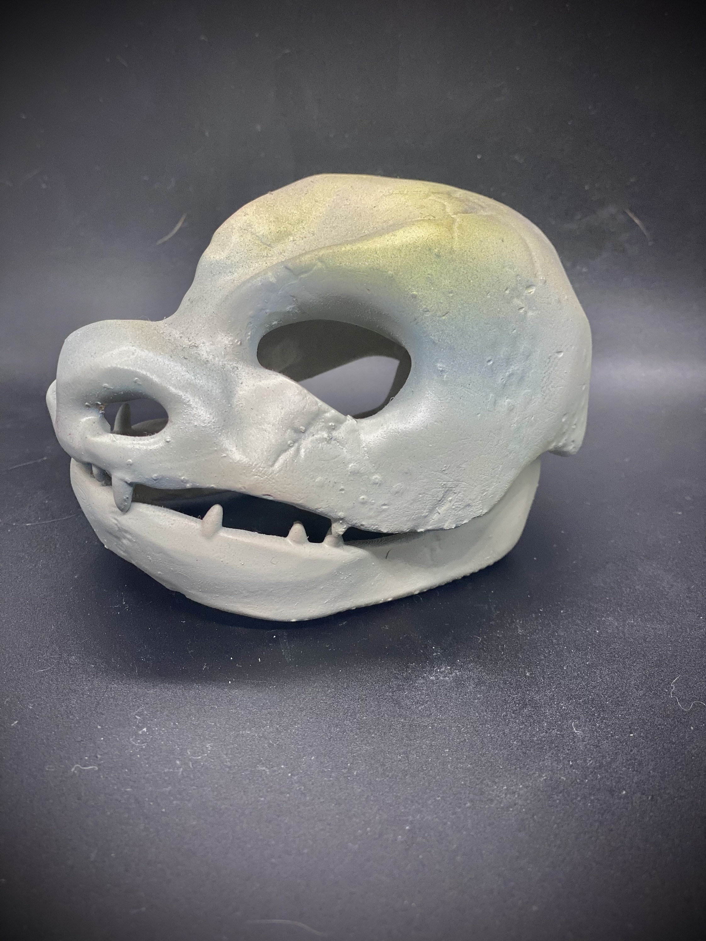 Blastoise Skull - Etsy