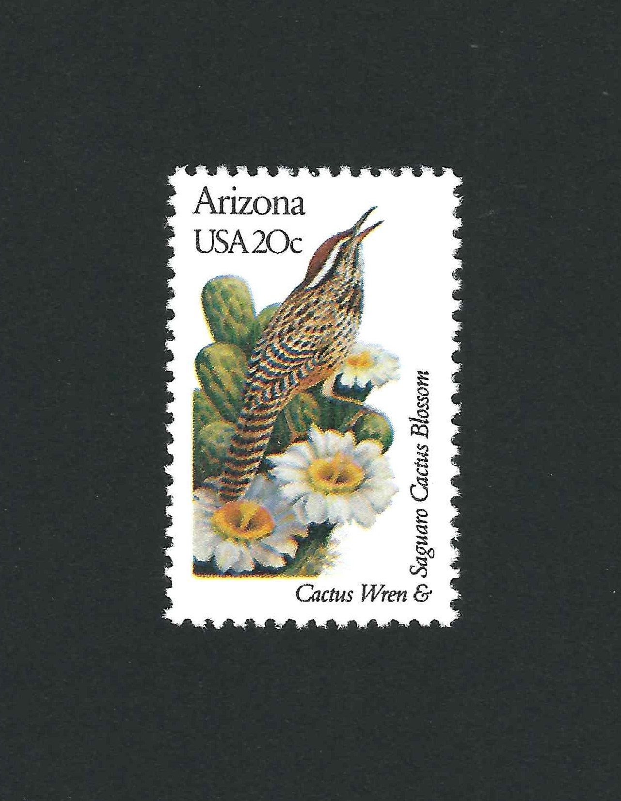10 Arizona State Bird and Flower Timbres-poste usps vintage | Etsy