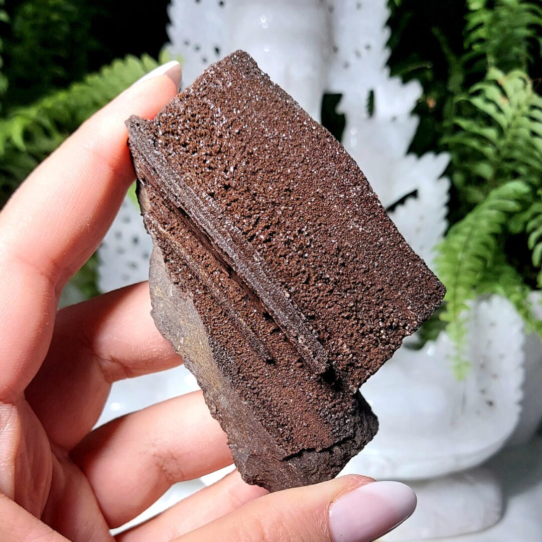 Fairy Wood Permineralized Fossil Wood - Etsy