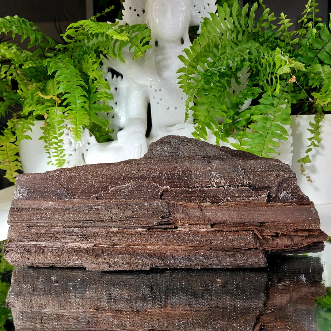 Fairy Wood Permineralized Fossil Wood - Etsy