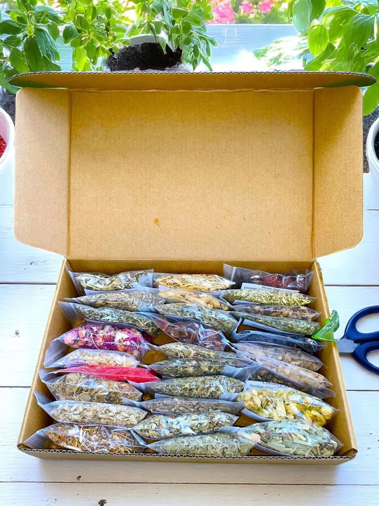 Apothecary Box Kit Beginner Advanced 20-25-30 Herb Bags Natural ...