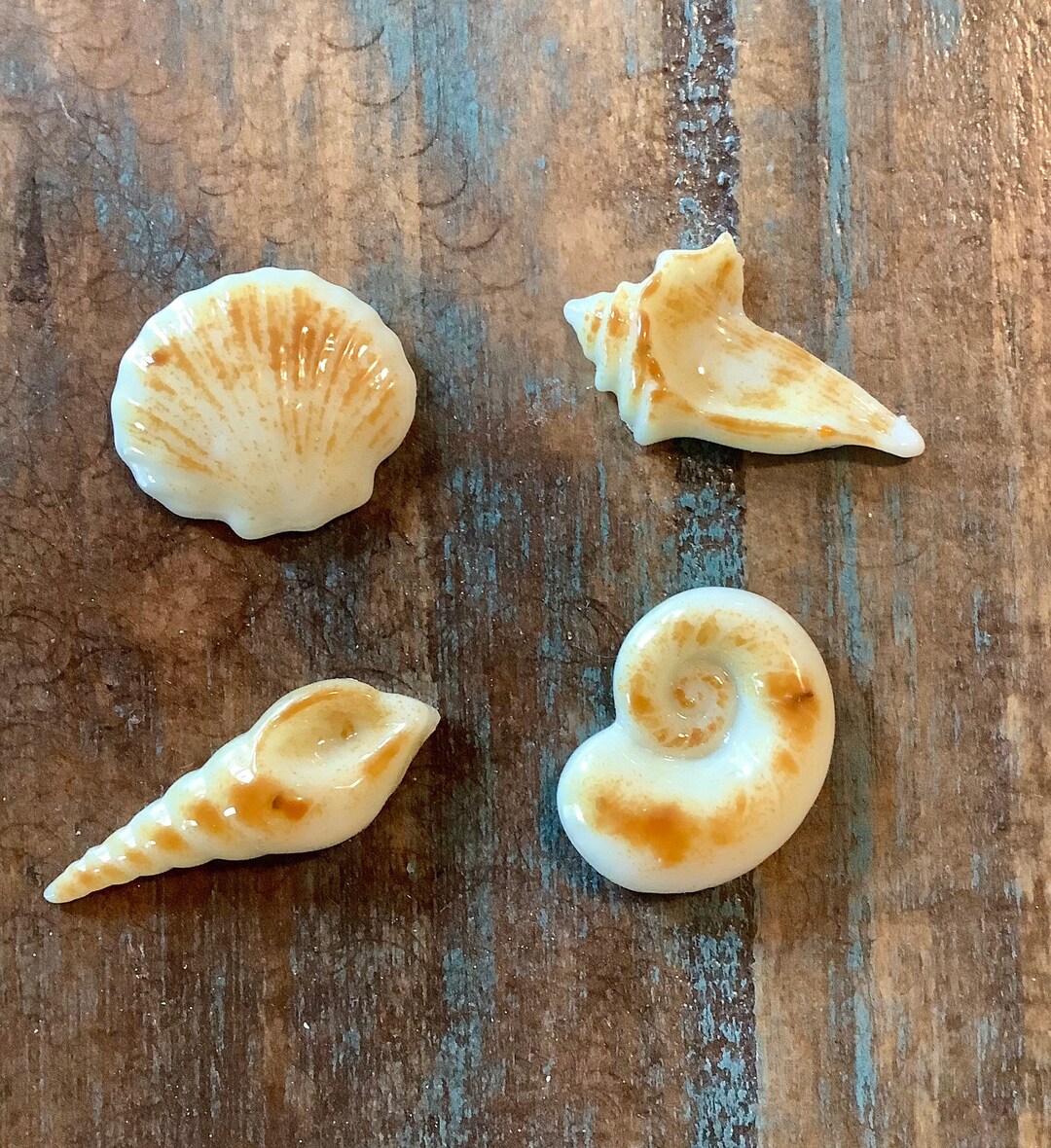 90 COE Shells for Glass Fusing - Etsy