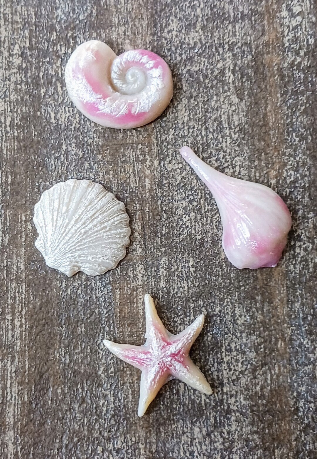 90 COE Shimmering Shells - Etsy