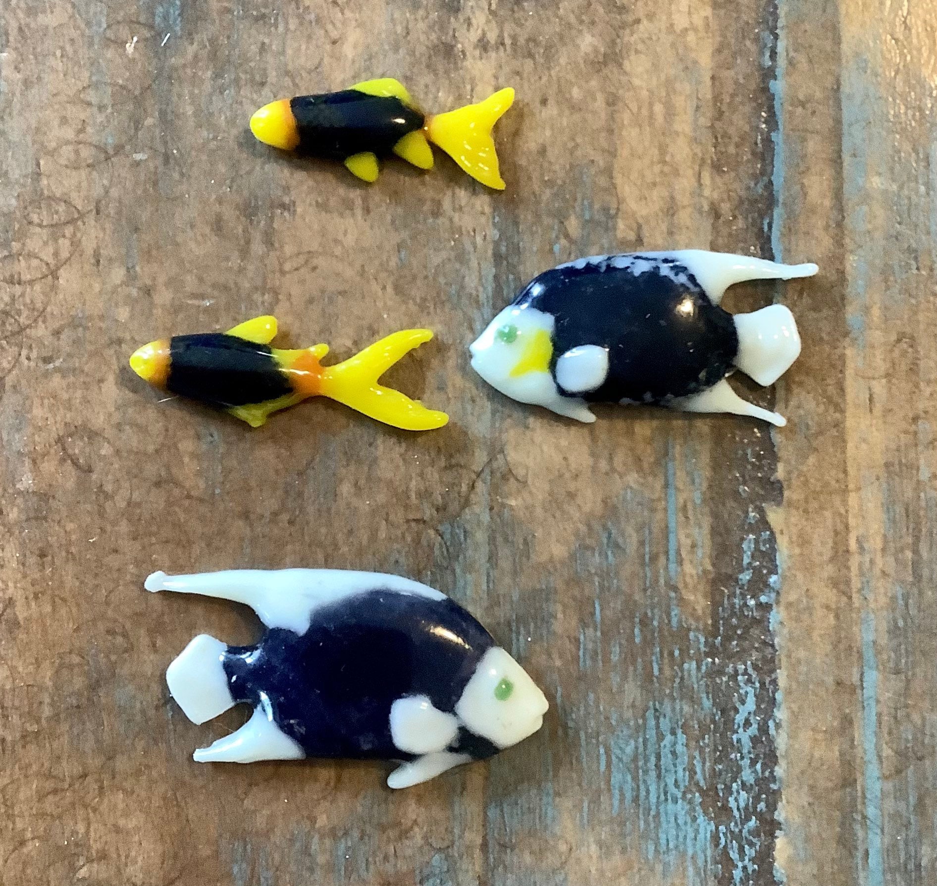 90 COE Fish for Seascapes - Etsy