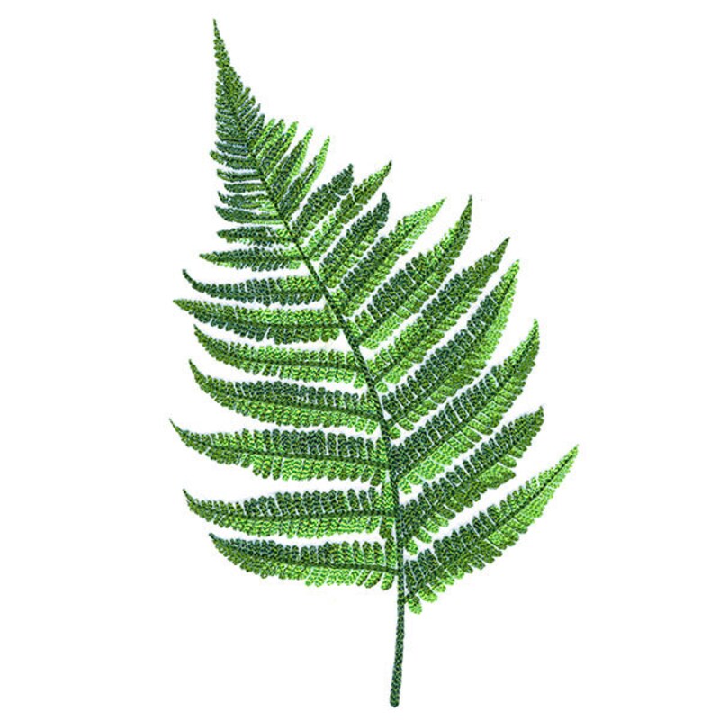Fern Embroidery - Etsy