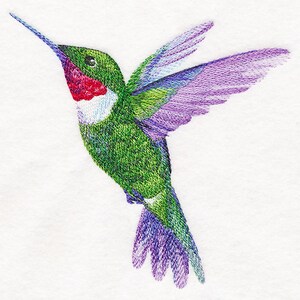 Ruby-throated Hummingbird Embroidered Towel Flour Sack Towel Kitchen ...